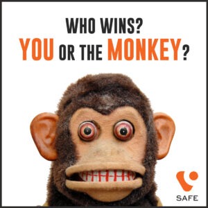 Safe Landing Page - SAFE Programs Jersey